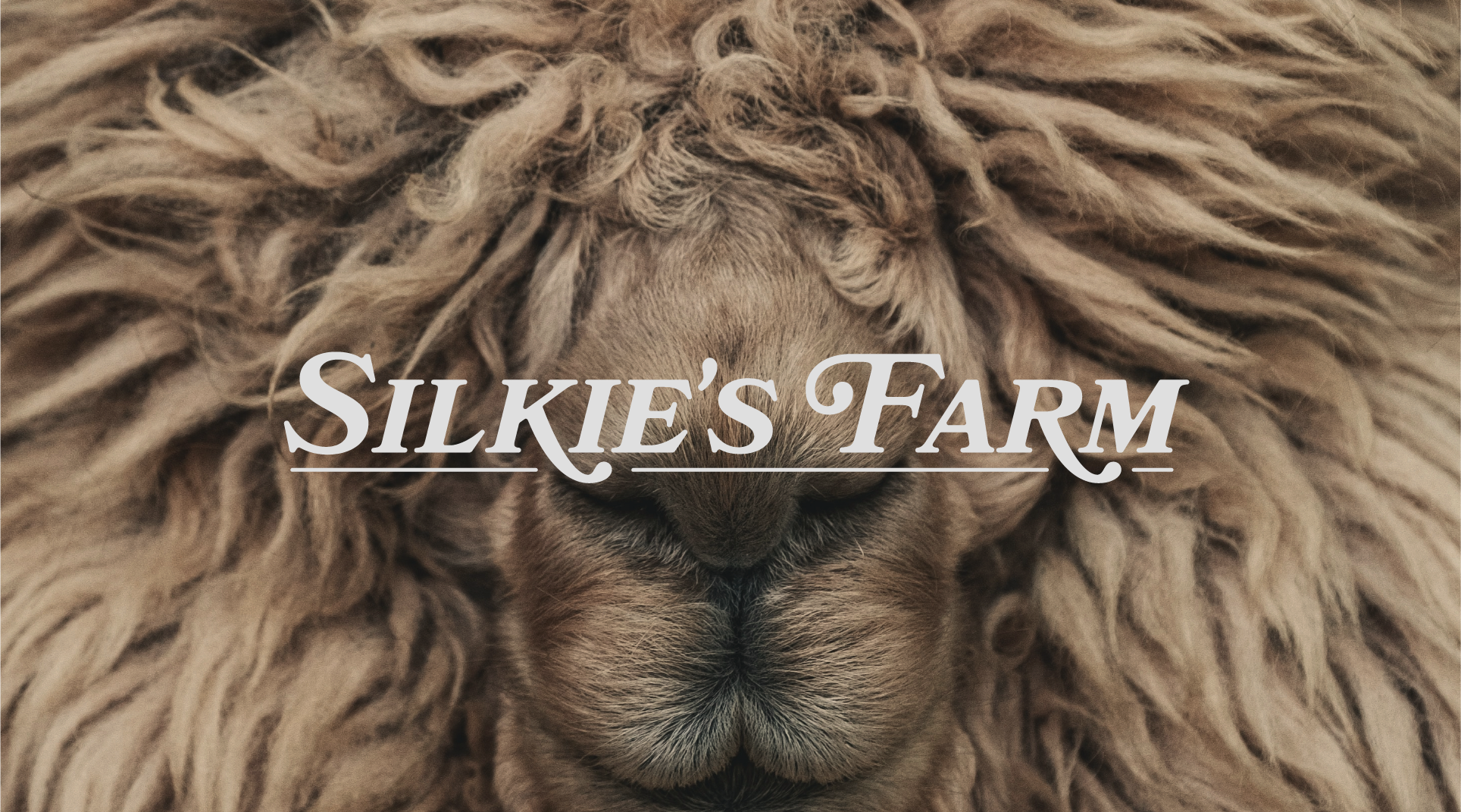 Chia Ma - Silkie’s Farm